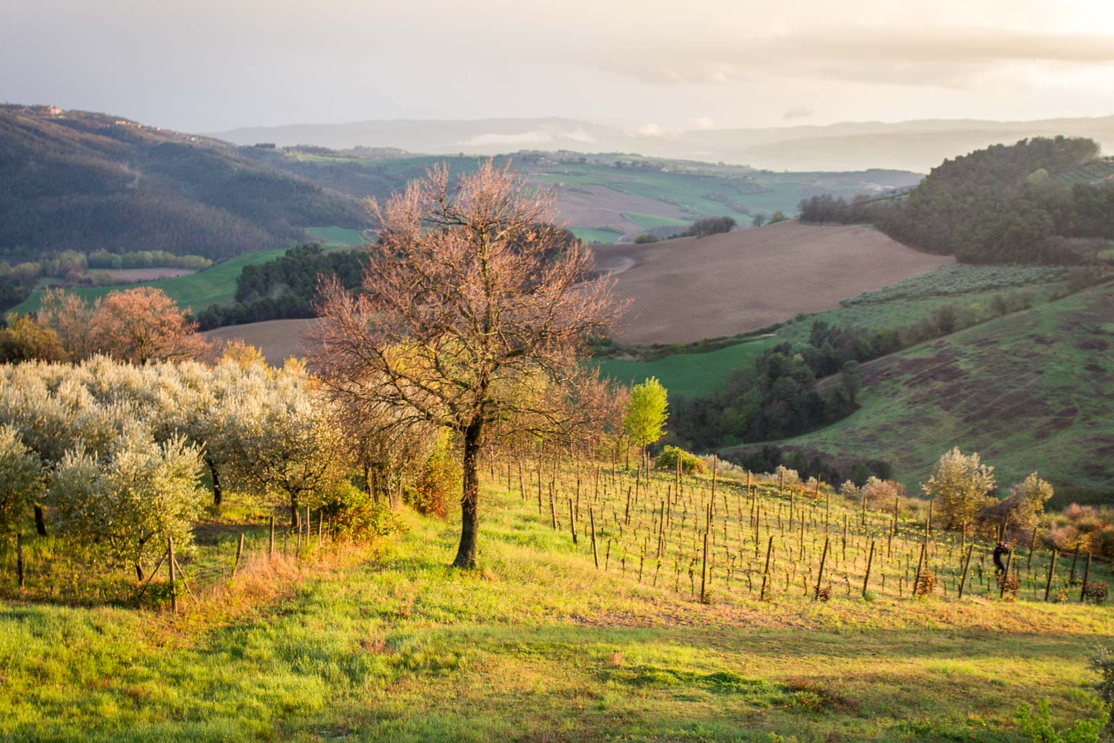 Under the Umbrian sun: Renting a villa in Italy