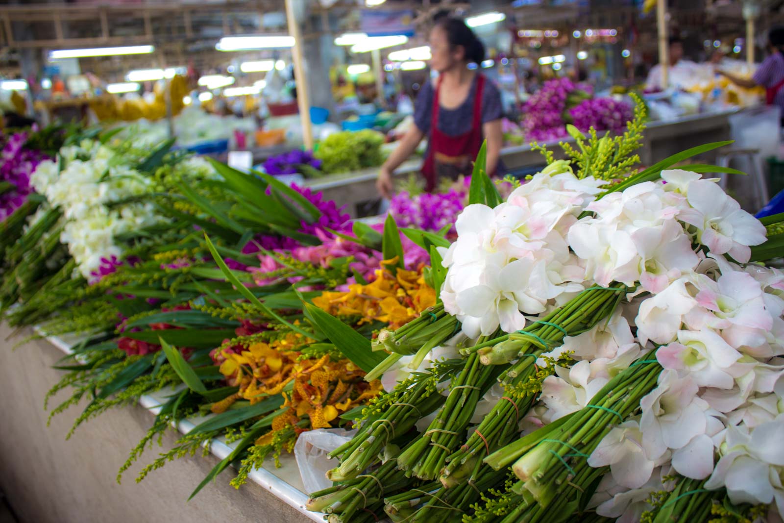 Sydney Flower Markets Opening Times | Best Flower Site