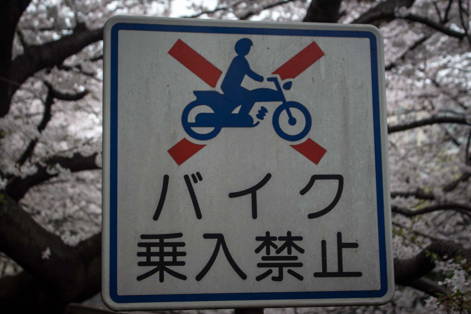 rules-in-japan-no-smoking-and-no-phones-on-trains