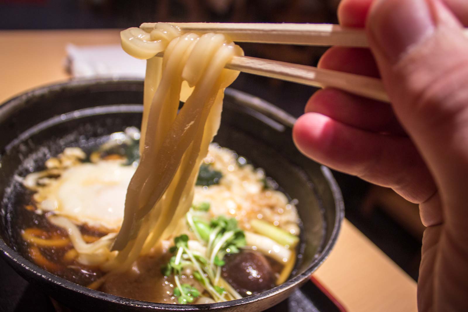 Udon: Japanese food and Japanese dishes