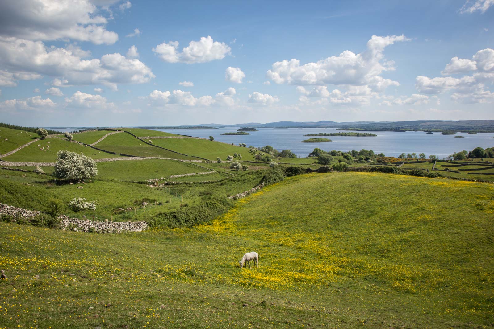 BREAKING NEWS: Irish citizens see sun for first time