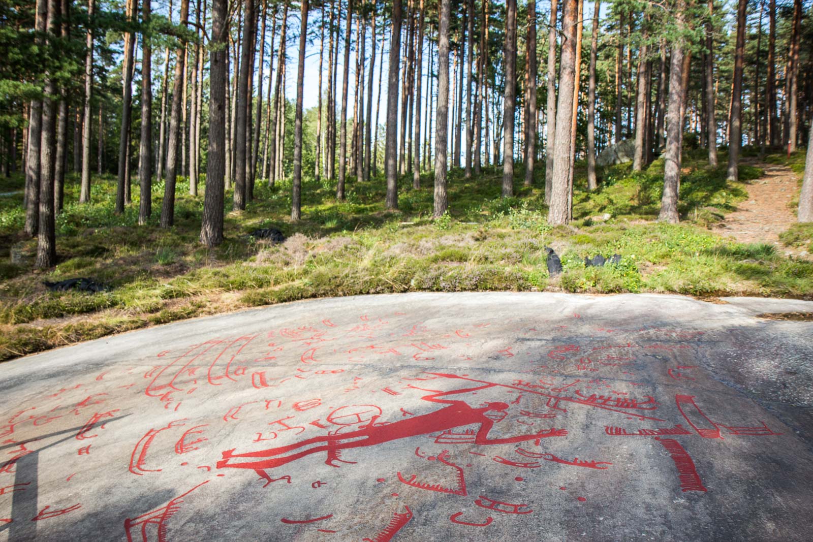 Tanum Rock Carvings, Bohuslän, Sweden: World Heritage Site (2023)