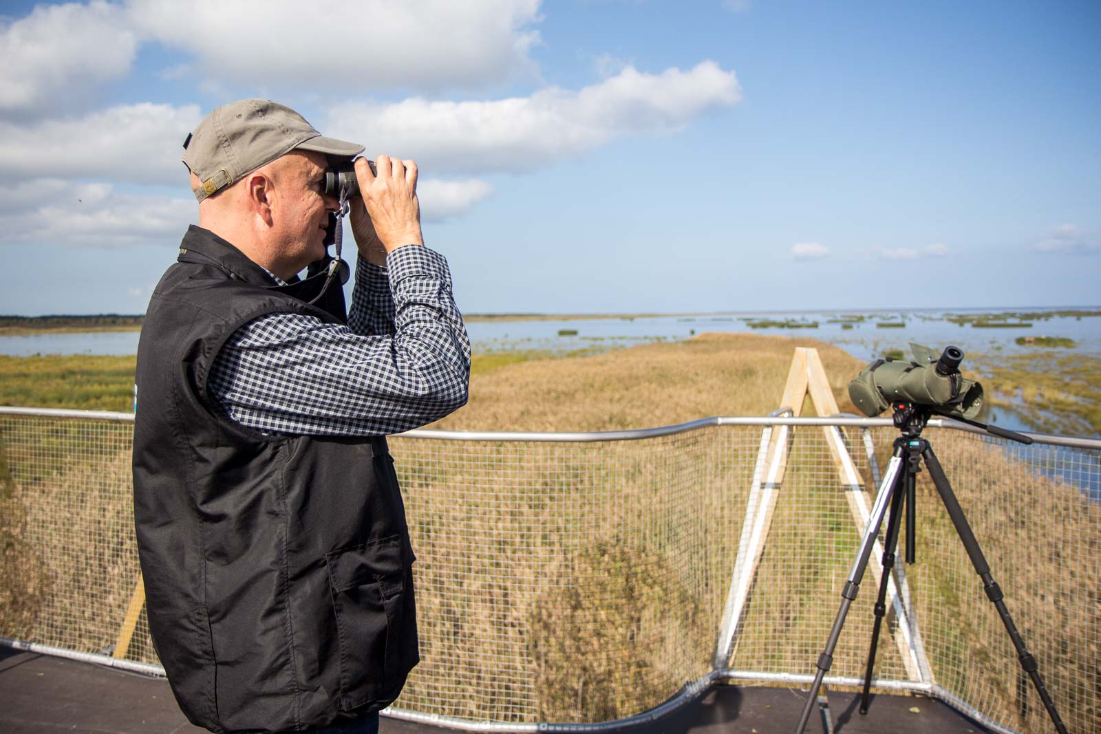 Liminka Bay wildlife photography, Finland (2023)
