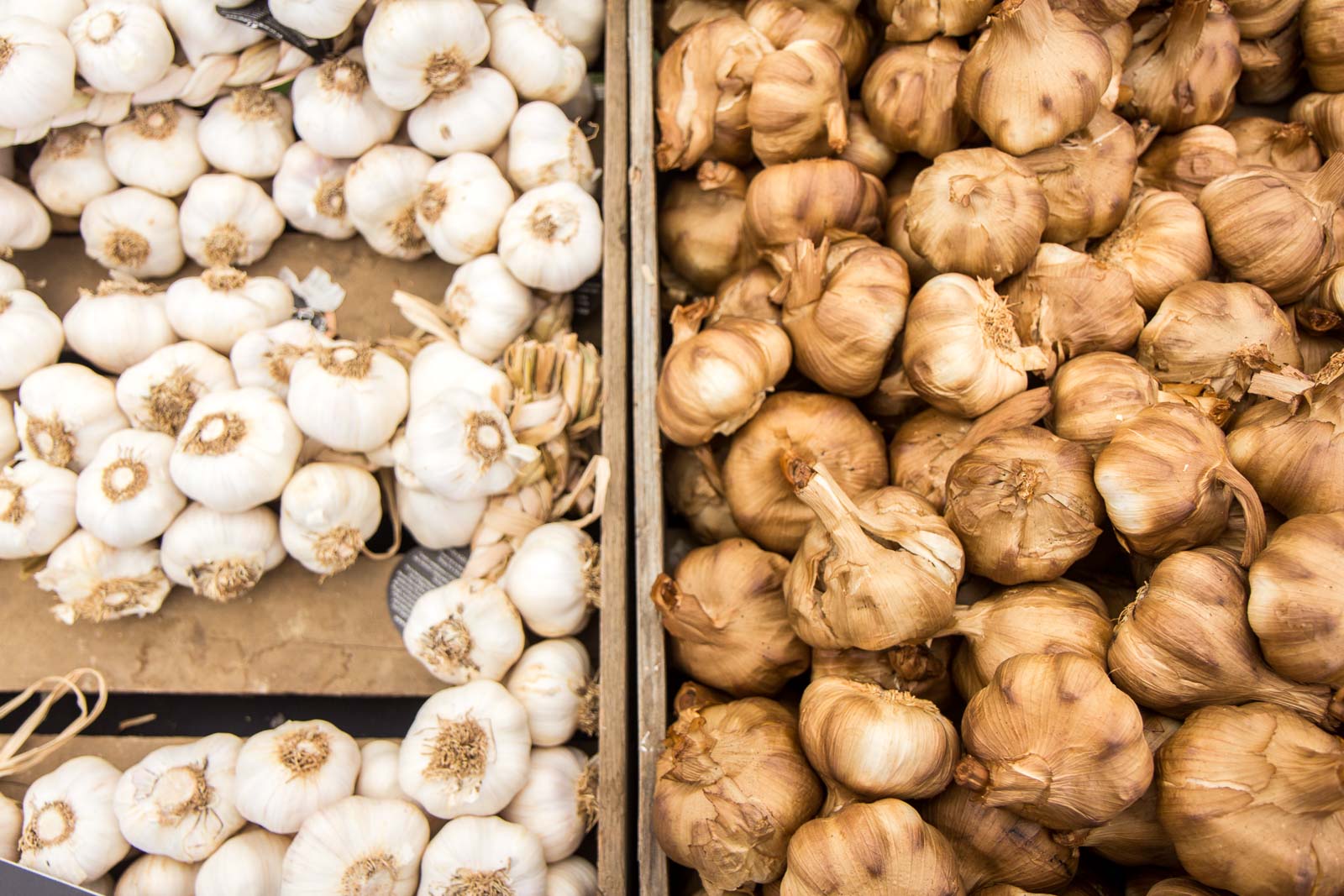 Garlic Festival, Isle of Wight, England (2024)