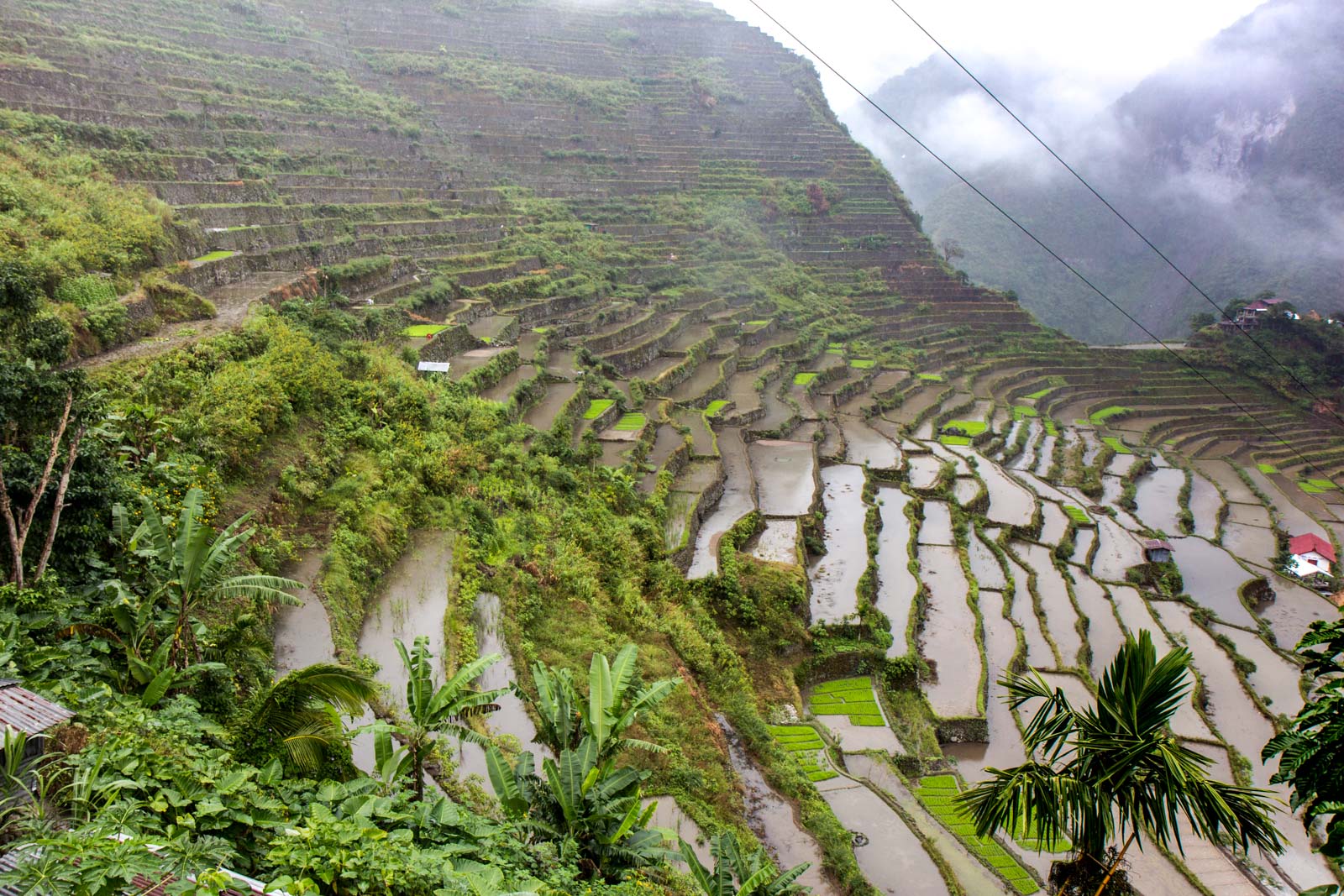 Batad Rice Terraces, Banaue, The Philippines