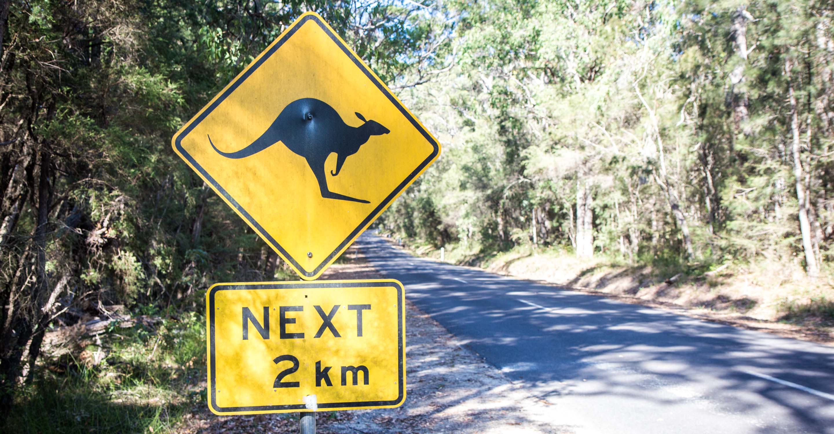 Melbourne to Sydney road trip: your complete day-by-day guide Melbourne to Sydney road trip: your complete day-by-day guide