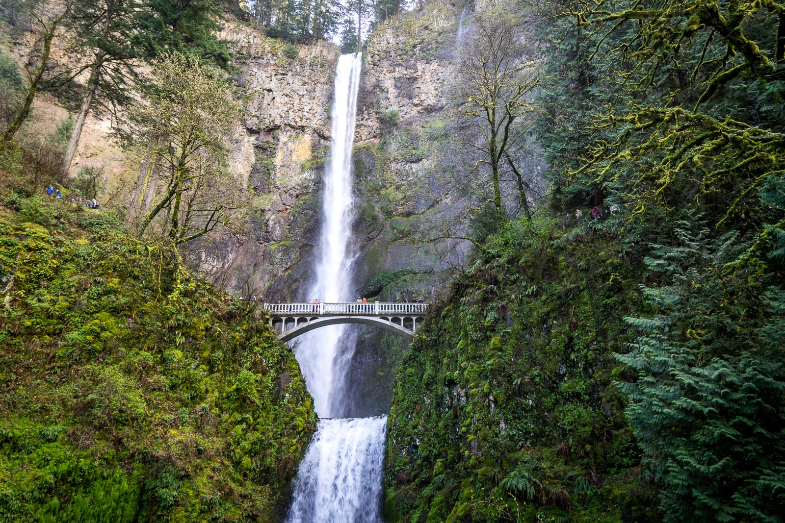 The Multnomah Falls Hike - the best route to follow for amazing views ...