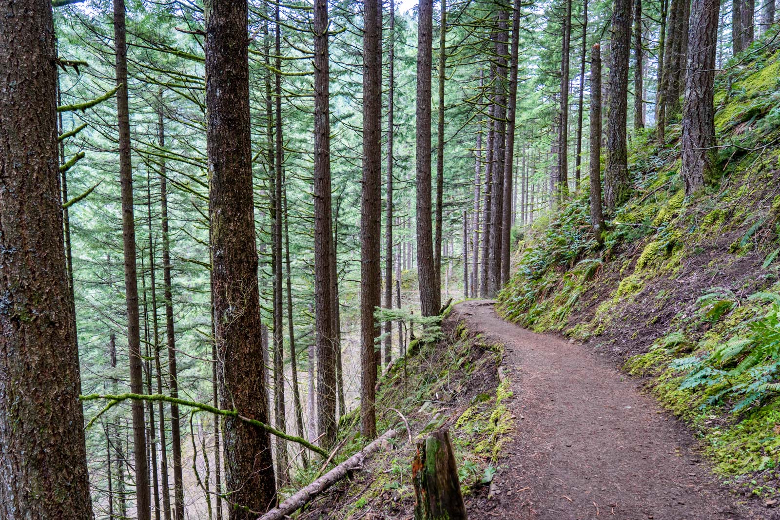 The Multnomah Falls Hike - the best route to follow for amazing views!