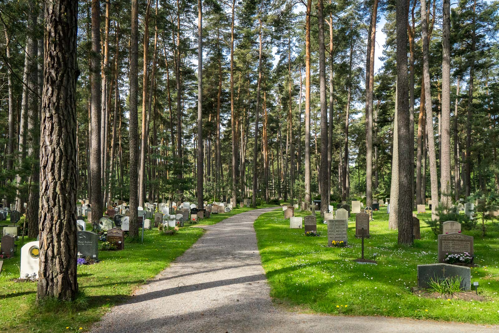 How to visit Skogskyrkogarden (Woodland Cemetery) in 2024