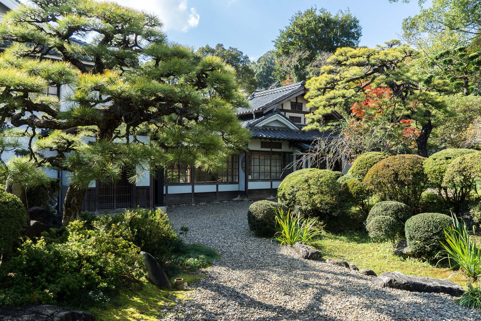 Things to do around Ehime - beyond Matsuyama in Japan (2023)