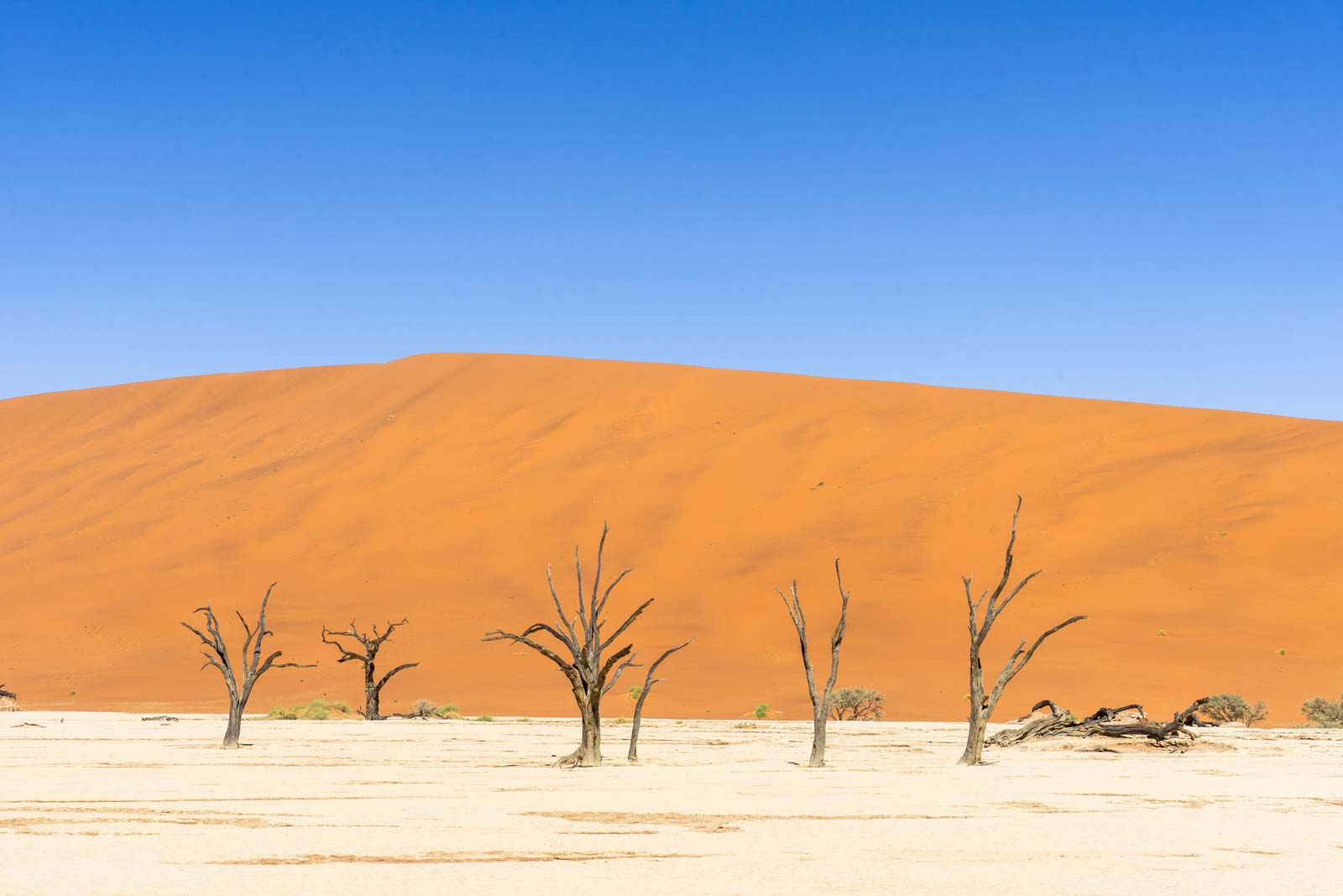 Visiting the stunning Deadvlei at Sossusvlei in Namibia