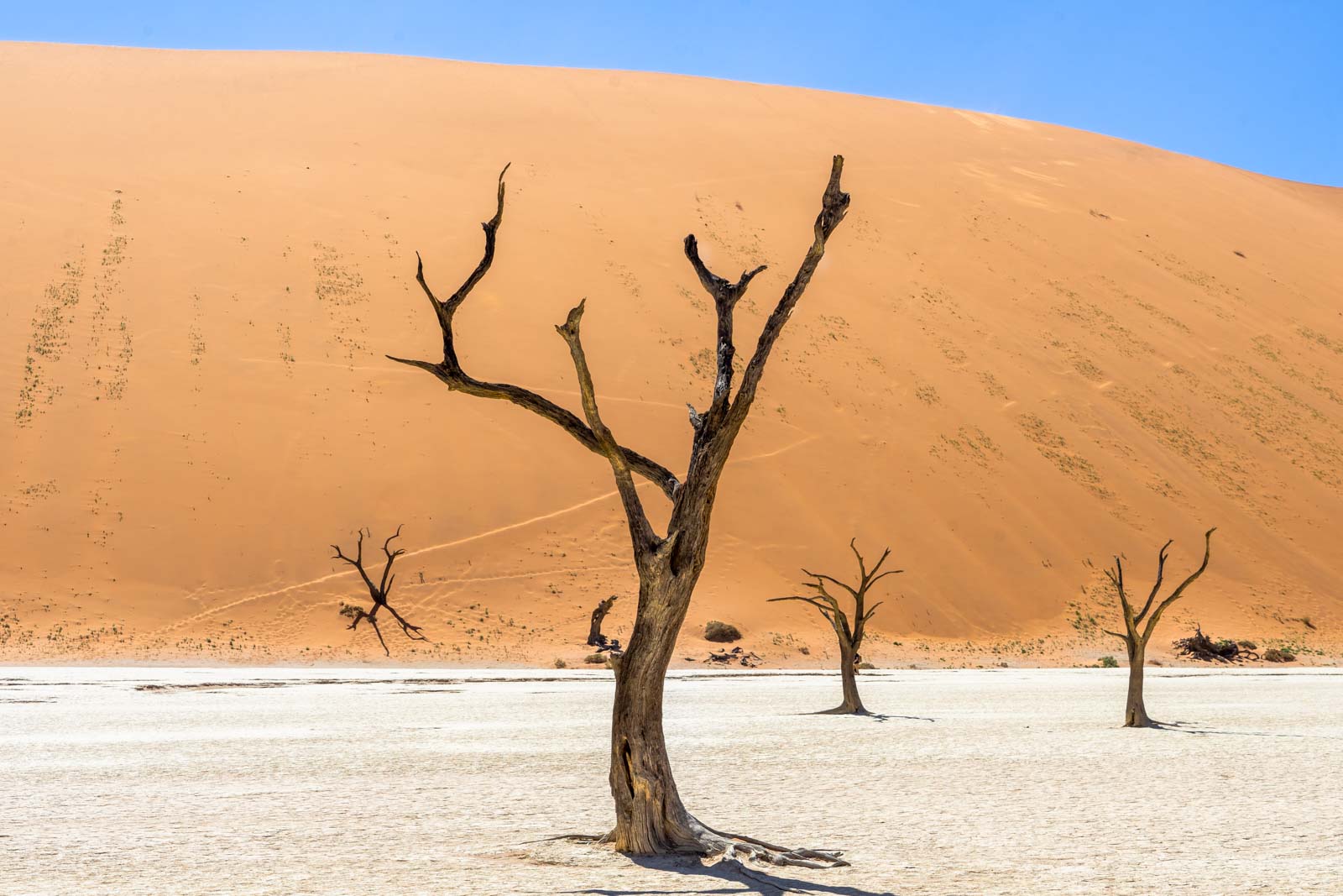 Visiting the stunning Deadvlei at Sossusvlei in Namibia