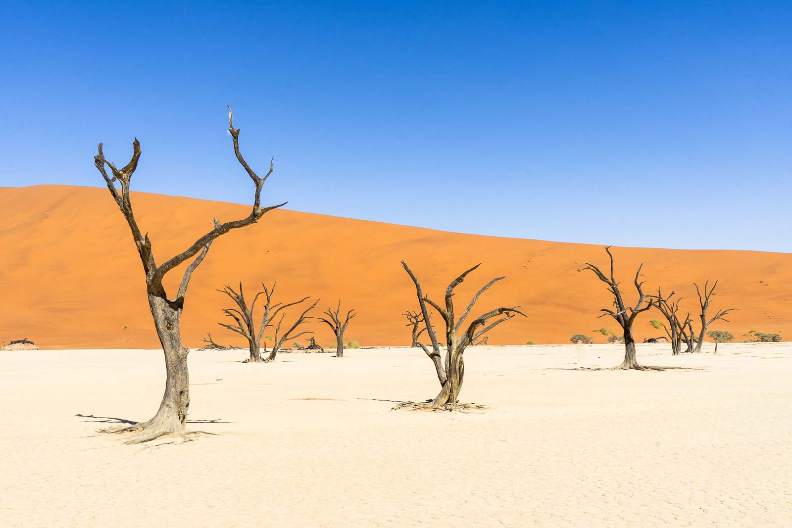 Visiting the stunning Deadvlei at Sossusvlei in Namibia (2025)