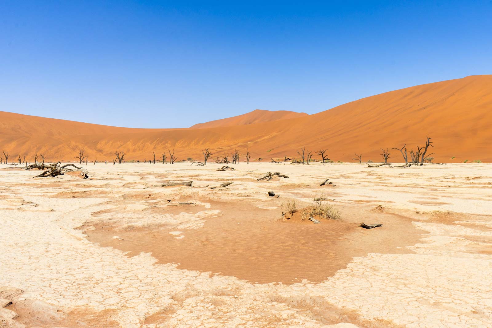 Visiting the stunning Deadvlei at Sossusvlei in Namibia