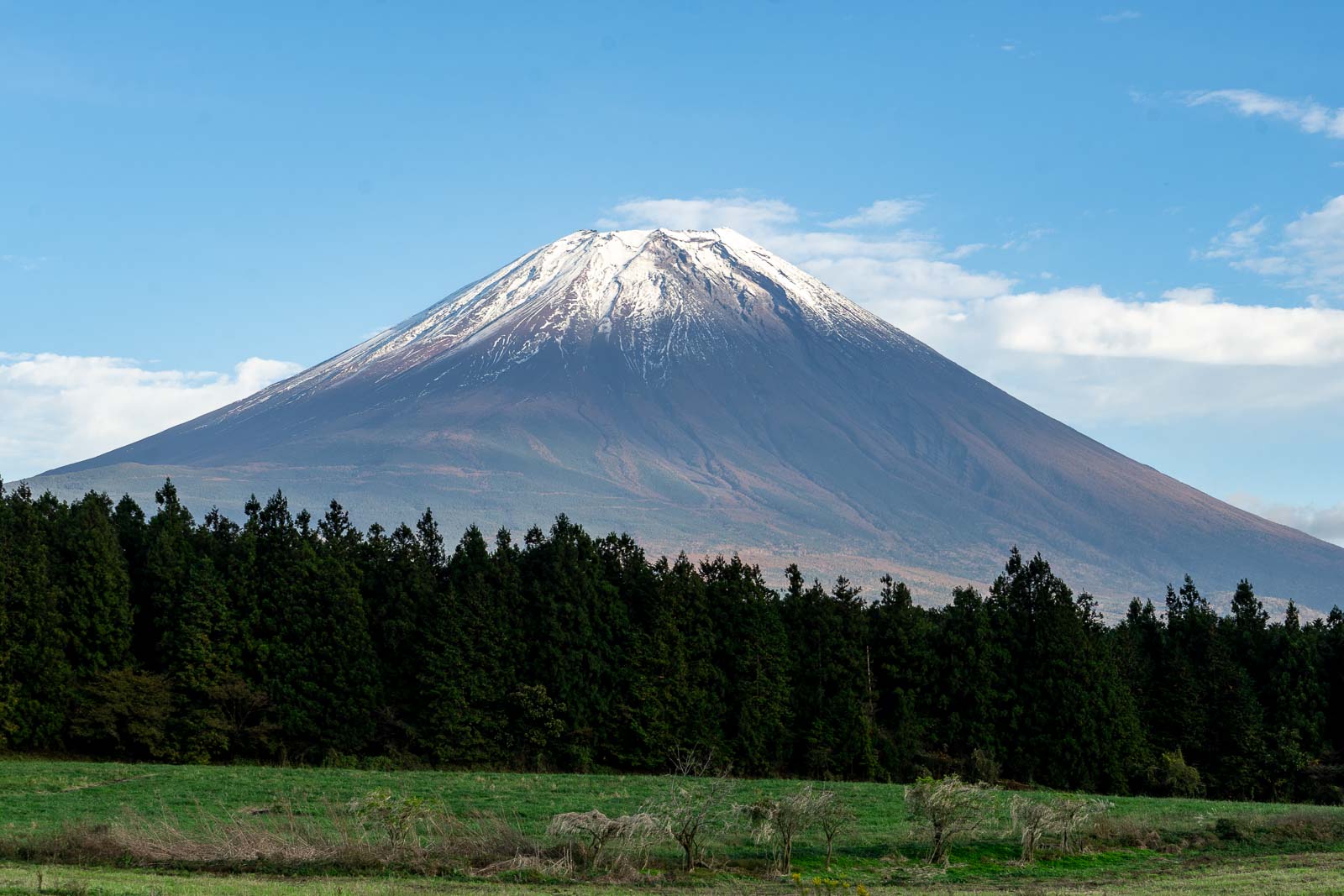 Things to do around Fuji City and Fujinomiya, Japan (2025)