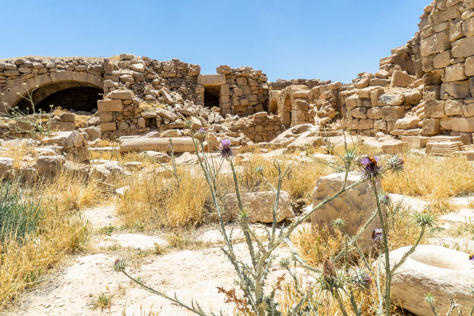 Visiting Um er-Rasas, Jordan: The Stylite Tower and Mosaic of St ...