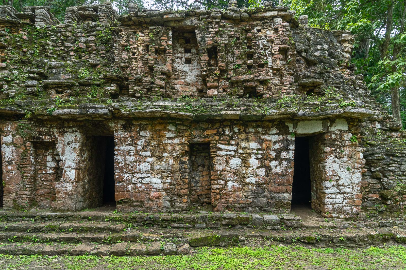 Yaxchilan Mayan ruins - An adventure in Mexico (2026)