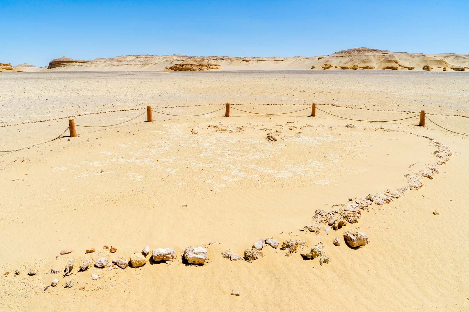 Egypt's Whale Valley - What Wadi Al-Hitan can teach us!