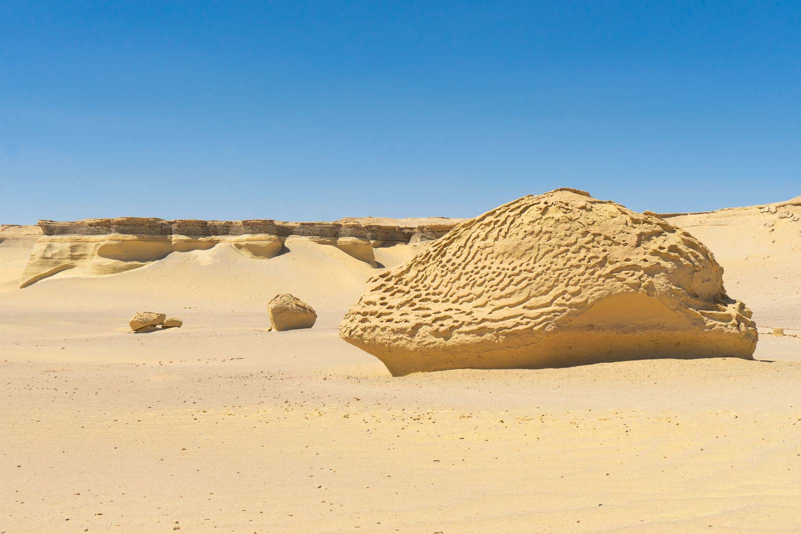 Egypt's Whale Valley - What Wadi Al-Hitan can teach us!