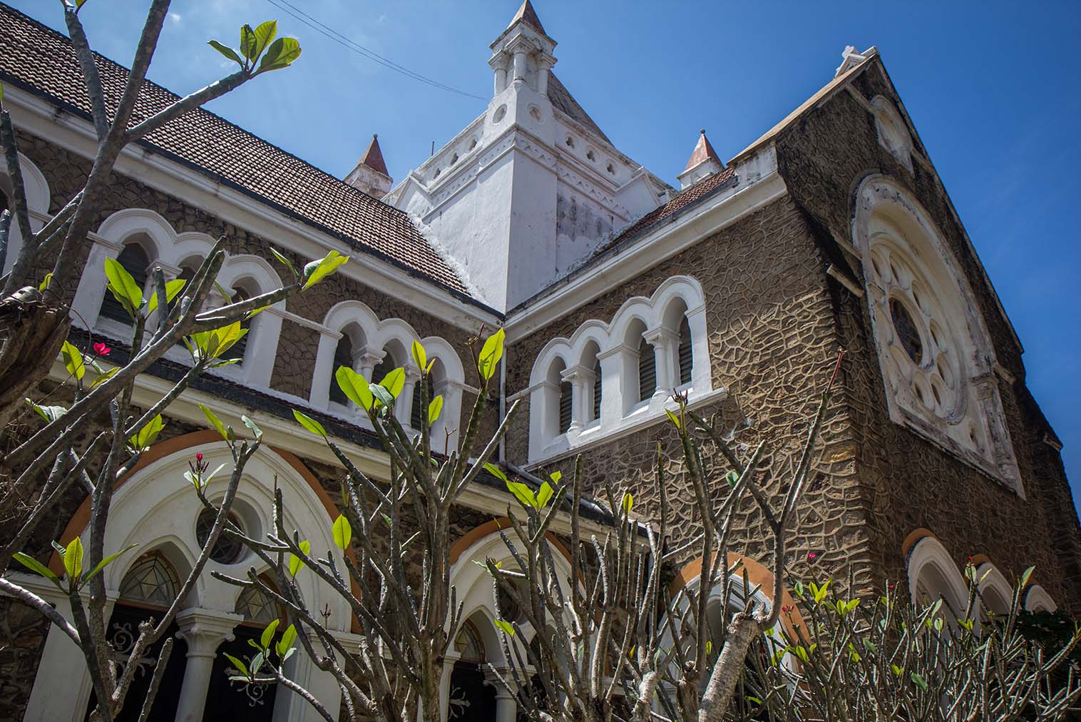 You expert guide to visiting Sri Lanka