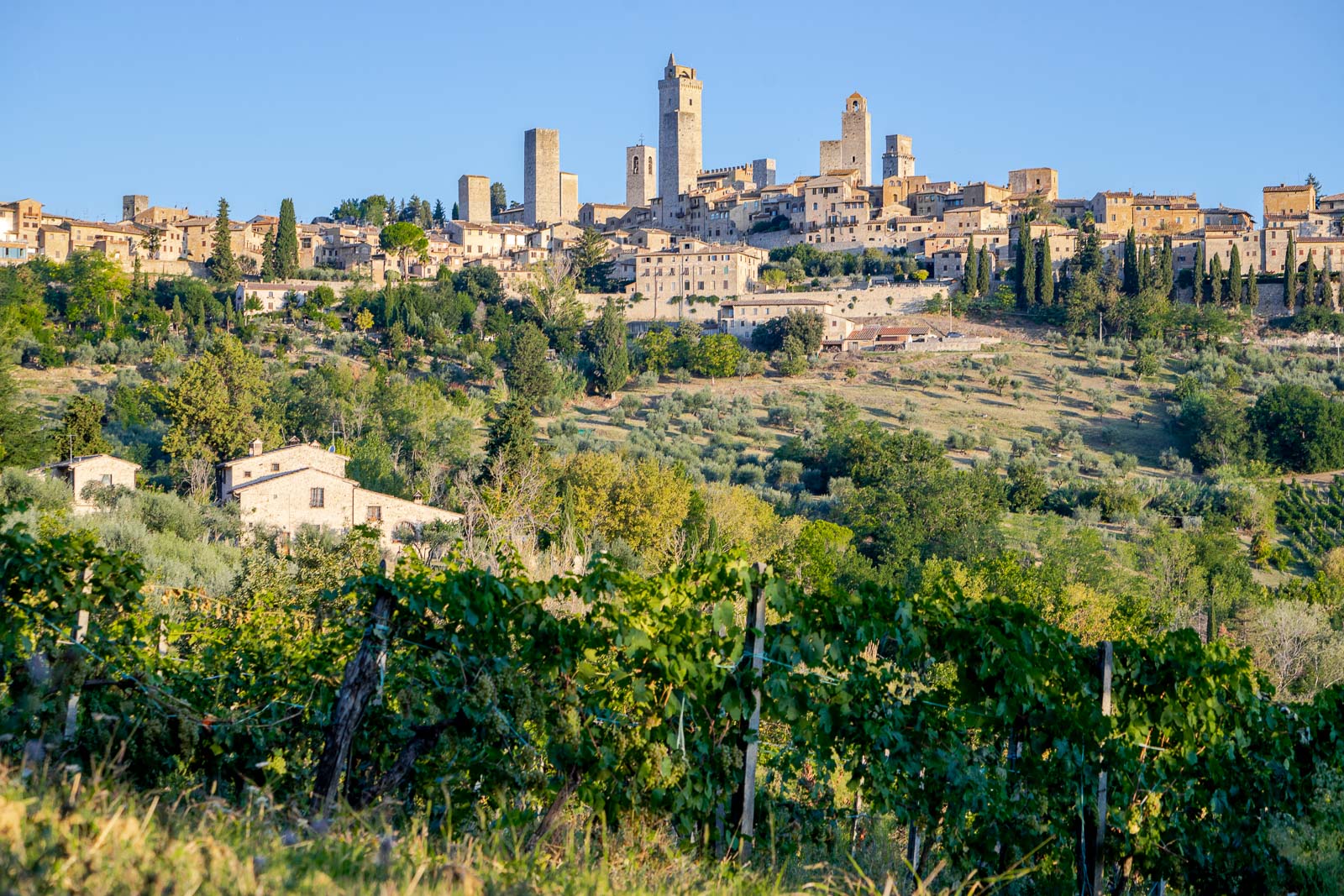 Things to do in San Gimignano in 2025